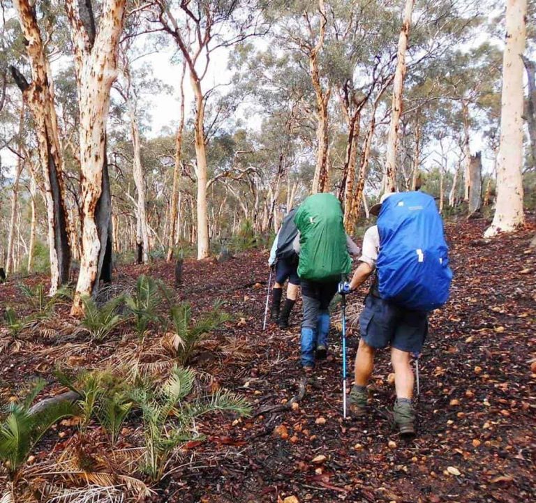 HikeWest - Bushwalking / Hiking peak body, Western Australia. Home page,