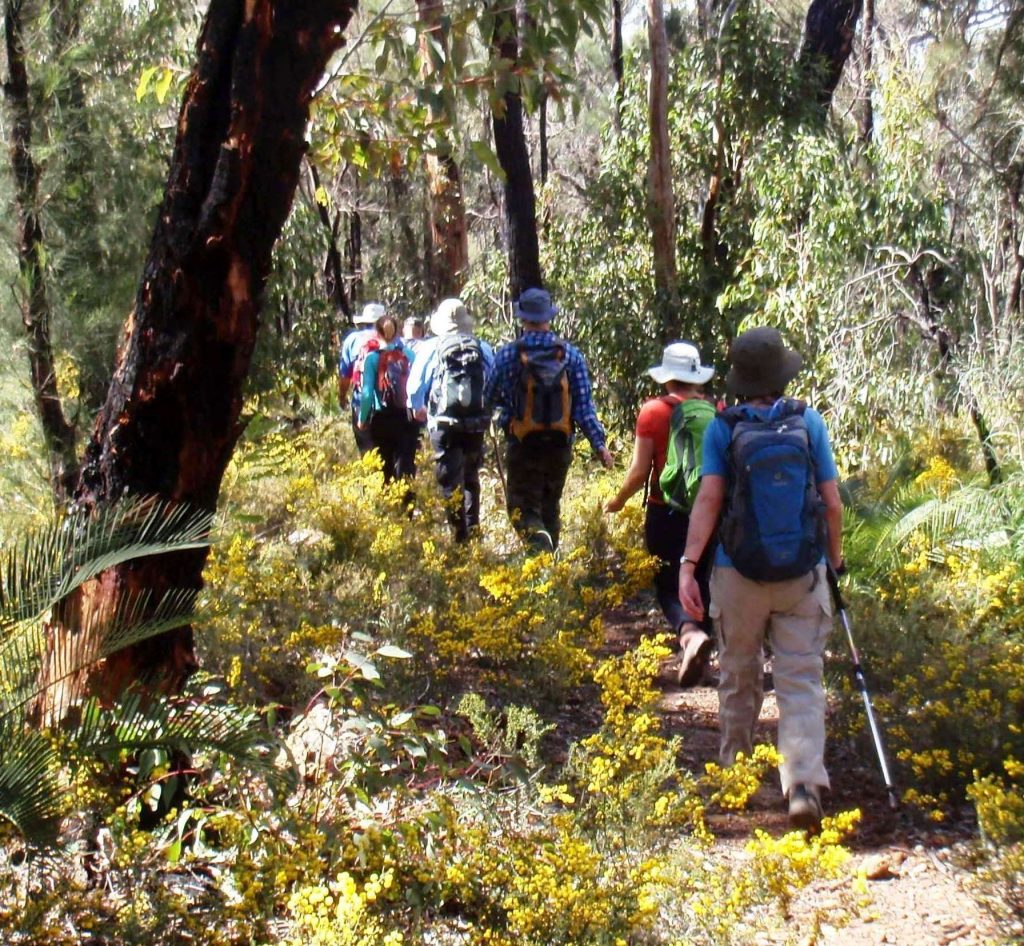 HikeWest - Bushwalking / Hiking peak body, Western Australia. Home page,