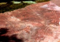 The Gorge Walk, Murchison Gorge, Kalbarri National Park. HikeWest
