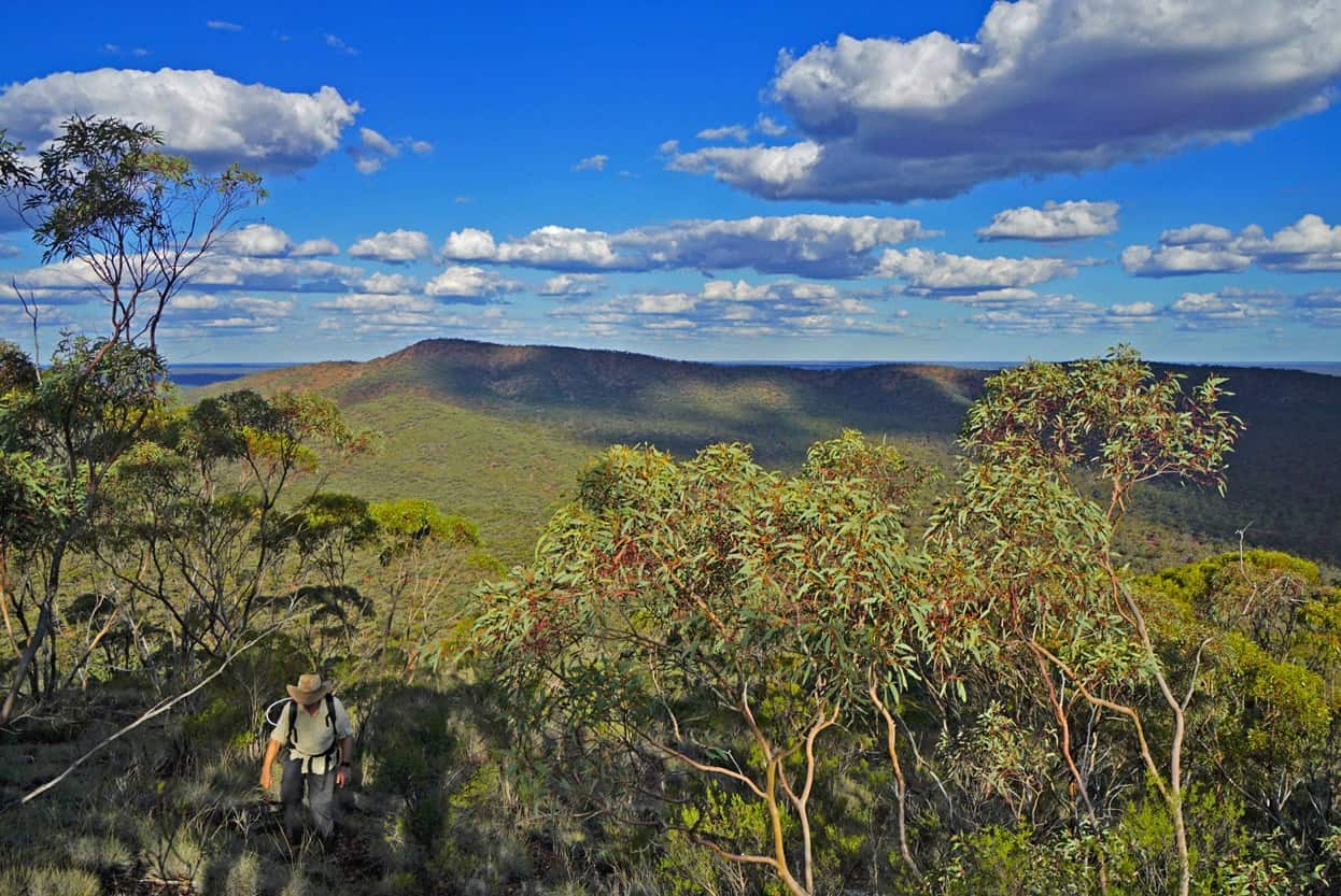 Towards a new national park: Helena Aurora Range - HikeWest