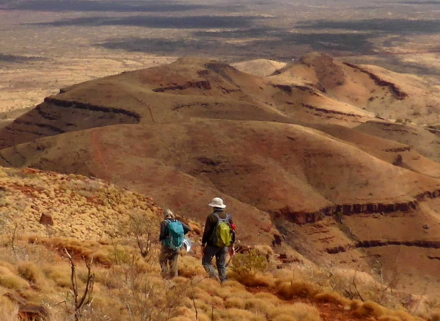 A small sampling of recent member club bushwalk activities