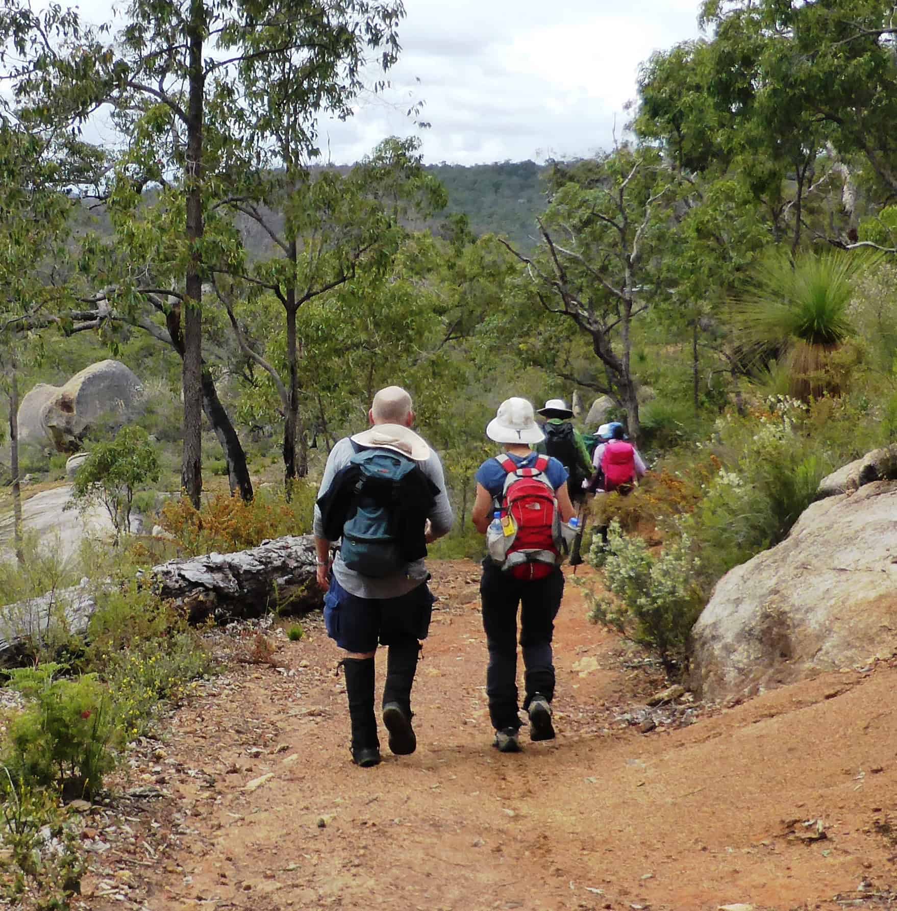 Seniors Walk Program 2024