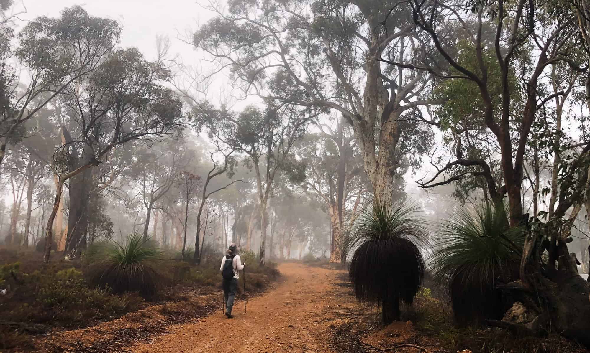 Hike or Run at the Expo