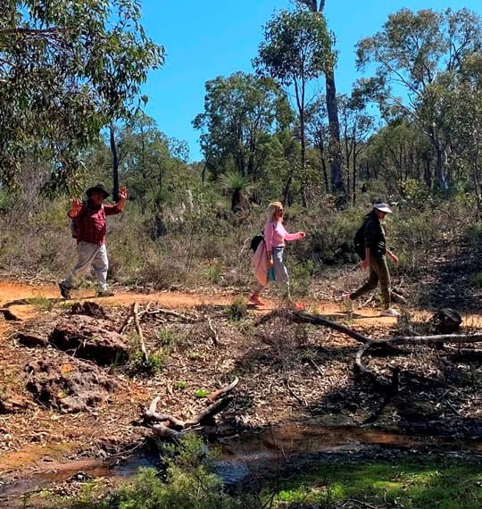 All Abilities Hiking Program