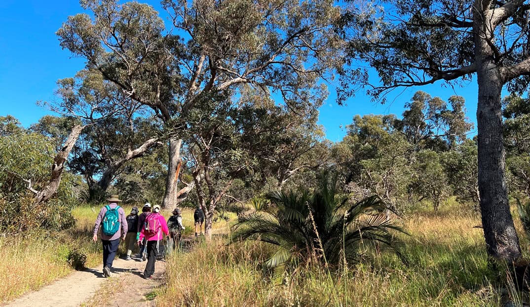 Hiking Trails - Perth and Surrounds