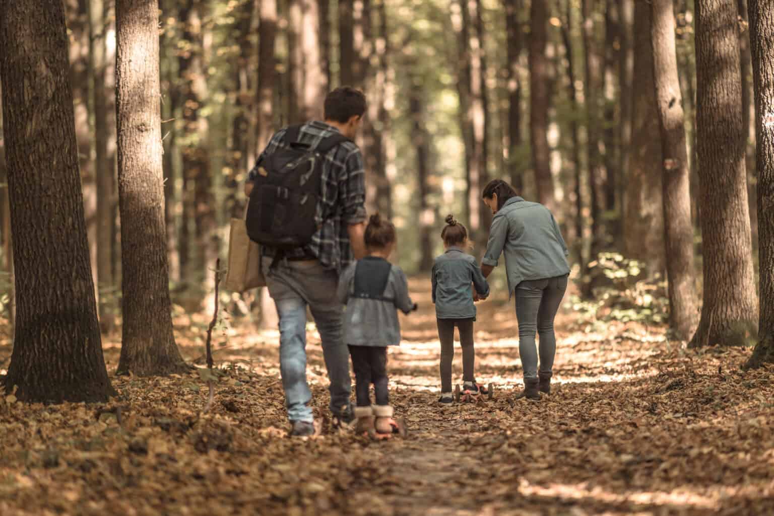 Family Hiking Program: Making Hiking More Accessible for Families ...