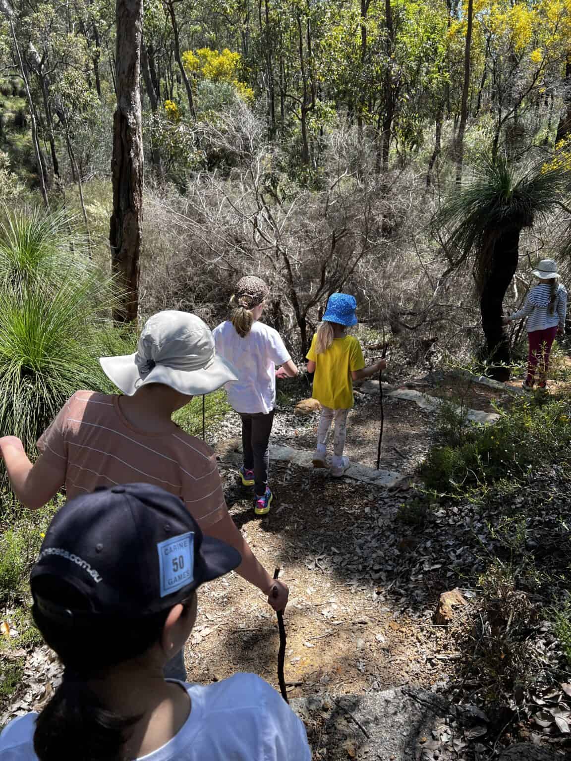 Family Hiking Program: Making Hiking More Accessible for Families ...